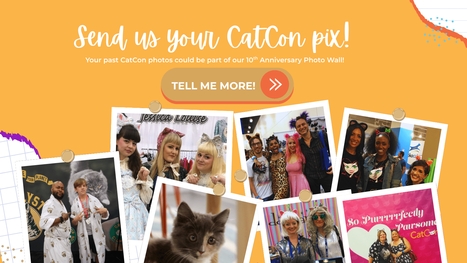 CatCon