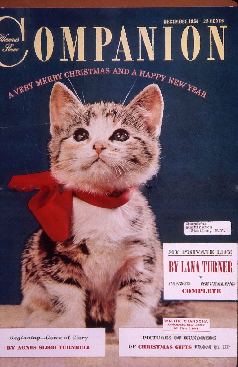 Walter Chandoha, The Pioneer of Cat Photography (1920 - 2019) - CatCon ...