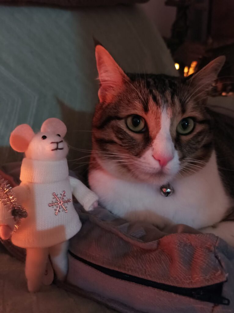 Happy MEW Year! - CatCon Worldwide